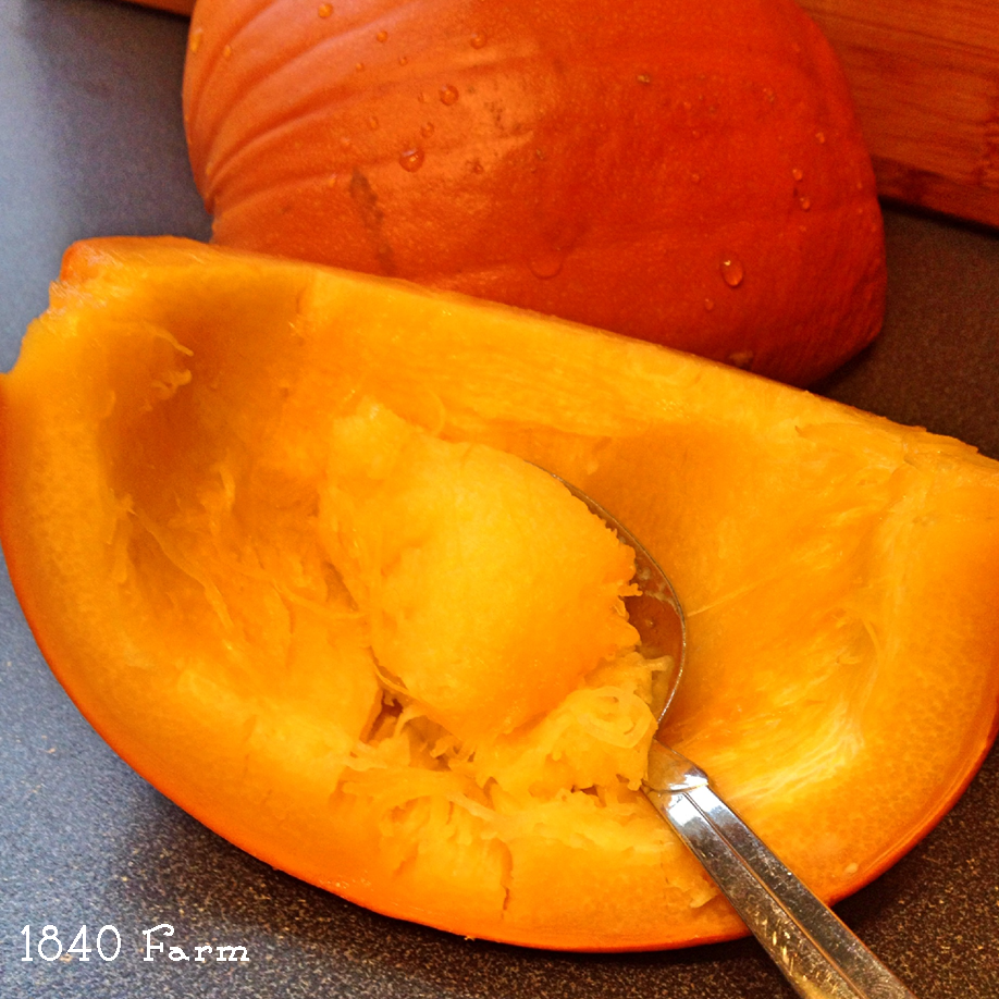 Homemade Fresh Pumpkin Purée - 1840 Farm