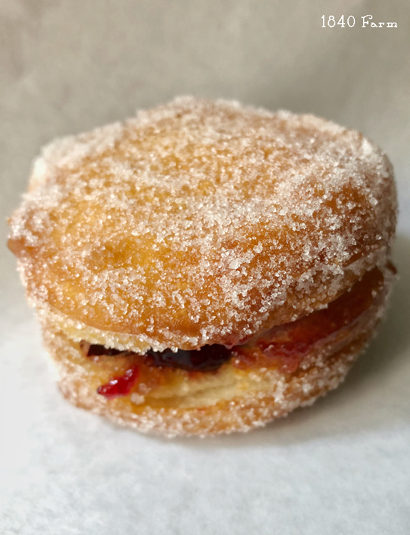 Simple Farmhouse Style Doughnuts - 1840 Farm